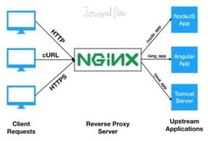 Guide to NGINX: High Performance Web Server & Reverse Proxy